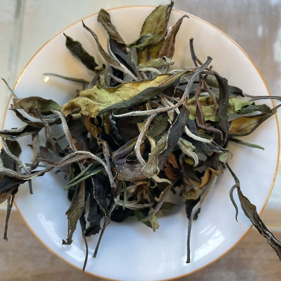 Harmony White Tea – Longleaf Tea Co.
